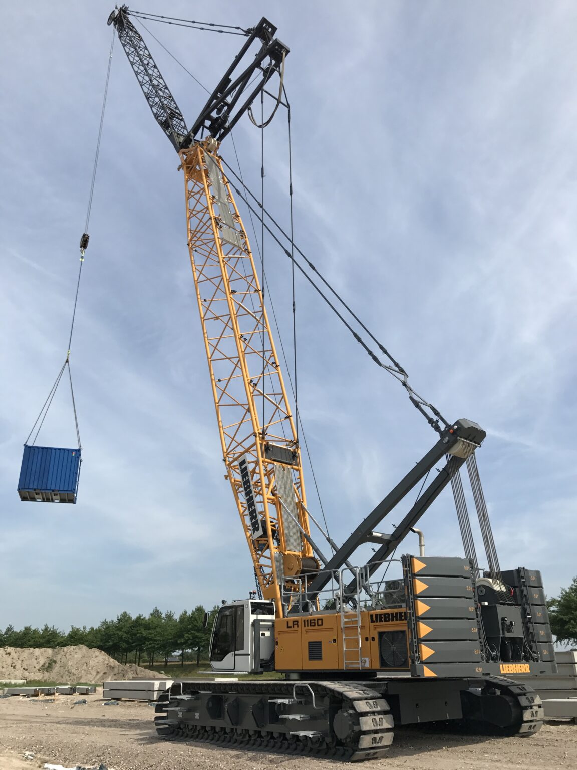 Liebherr LR1160 134.238 - VEMA Crane